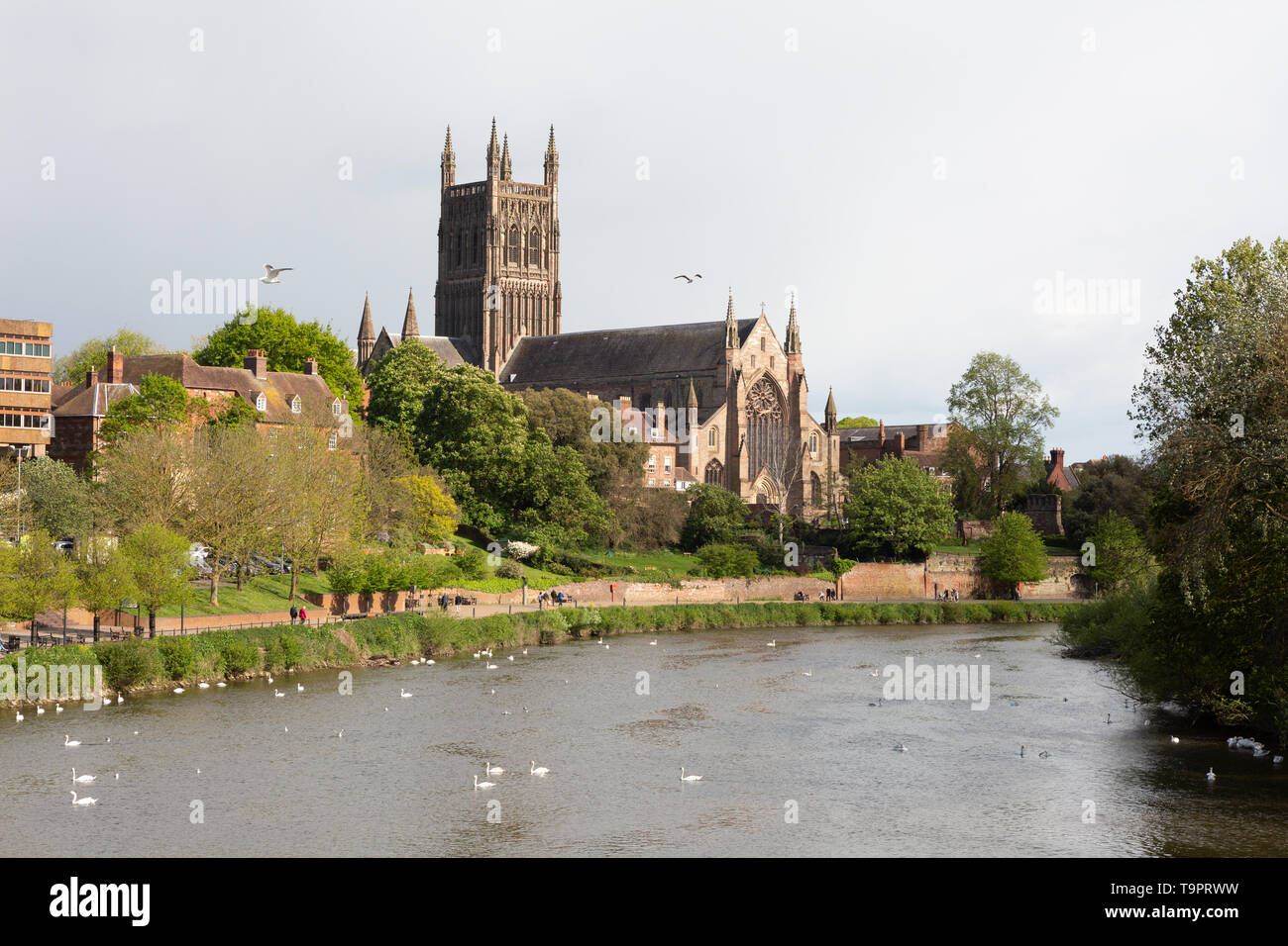 Worcester city centre hi-res stock photography and images - Alamy