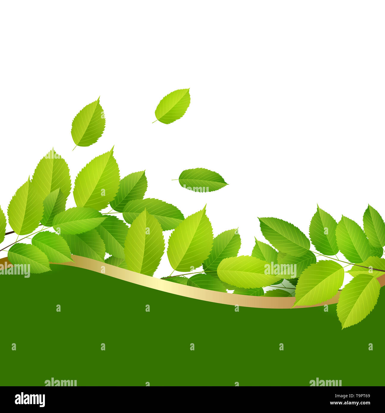 Golden elm tree hi-res stock photography and images - Alamy