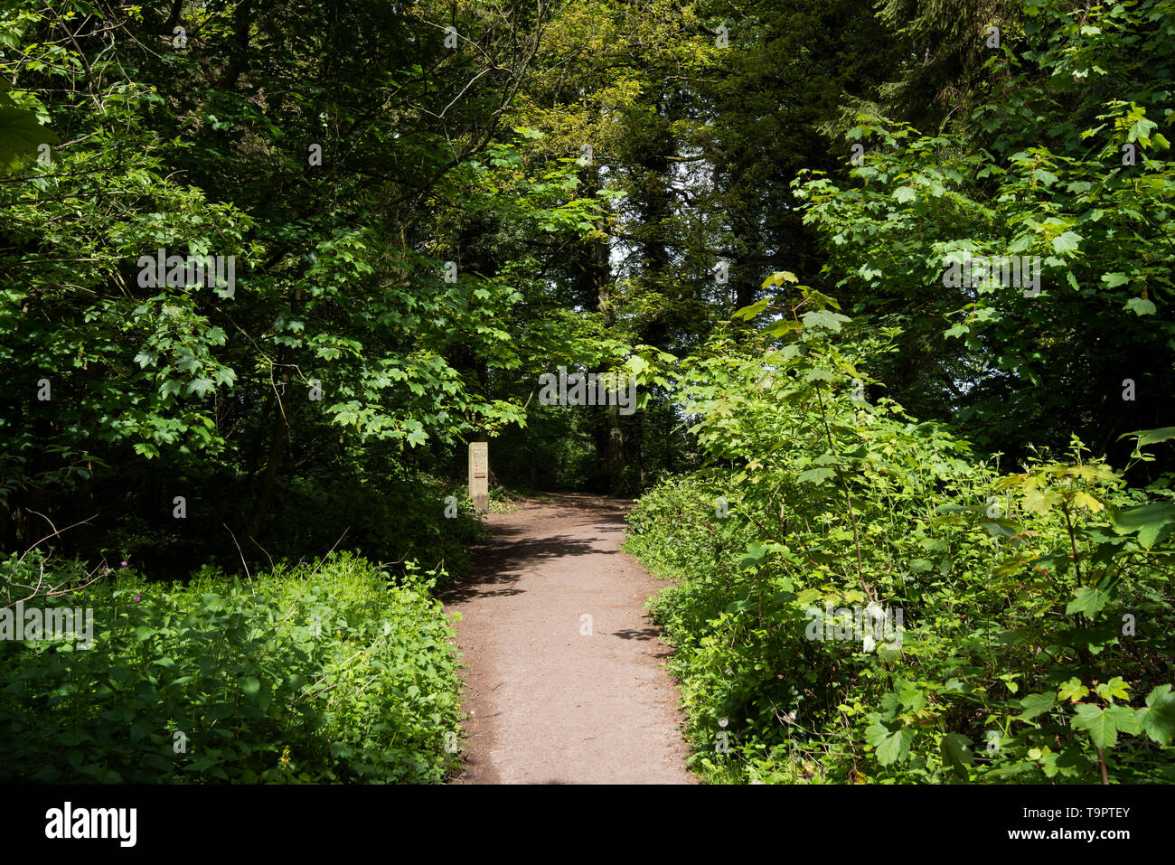 The Grace Dieu Trail, Thringstone Leicestershire England UK Stock Photo ...