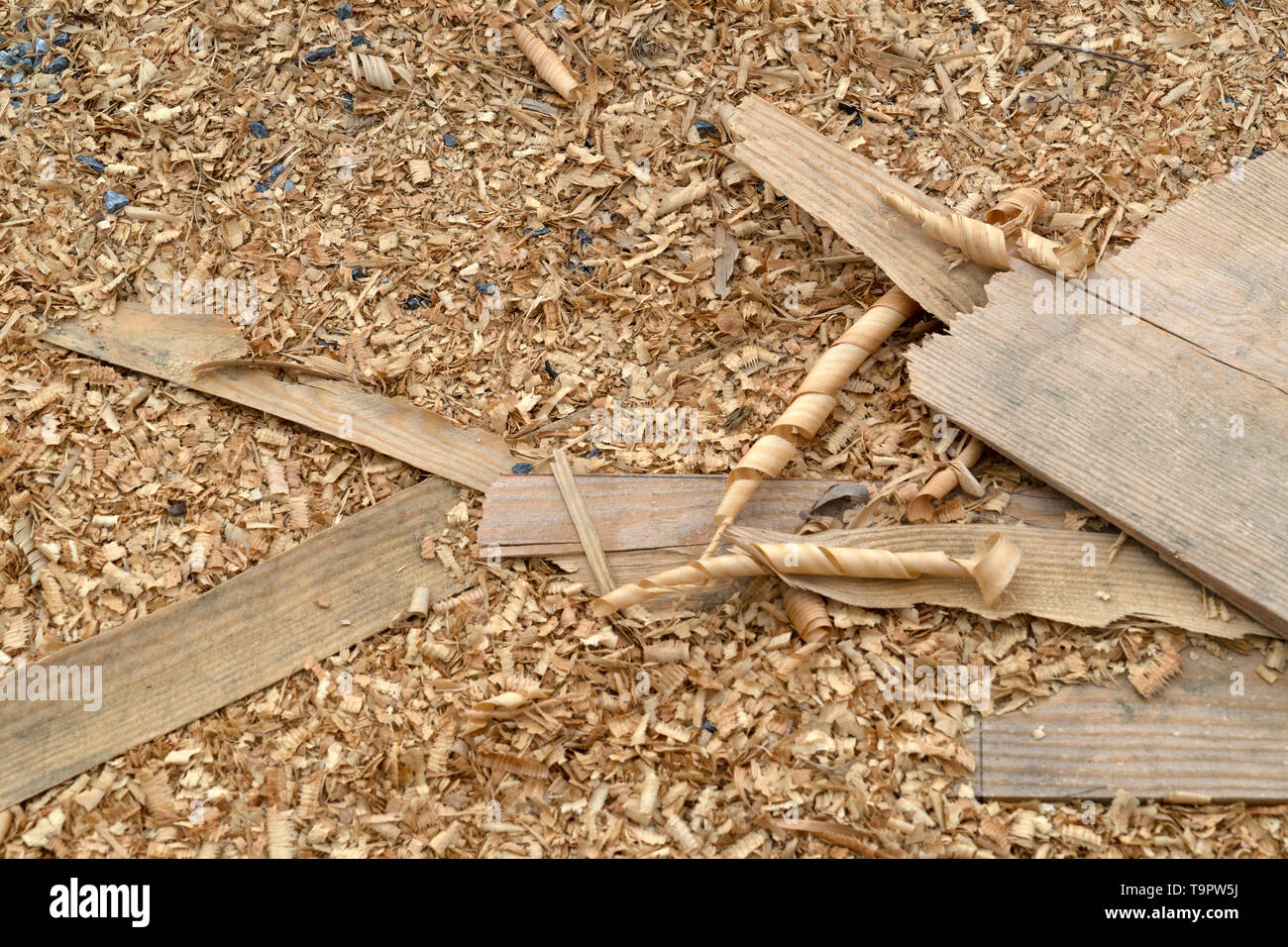 Wood chippings in sawmill detail close up Stock Photo - Alamy