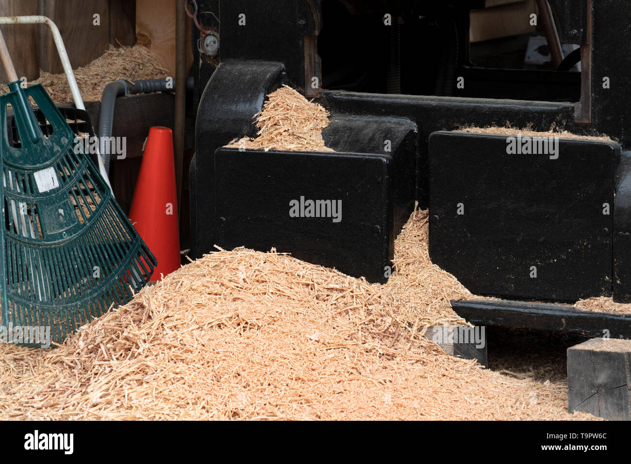 Wood chippings in sawmill detail close up Stock Photo - Alamy