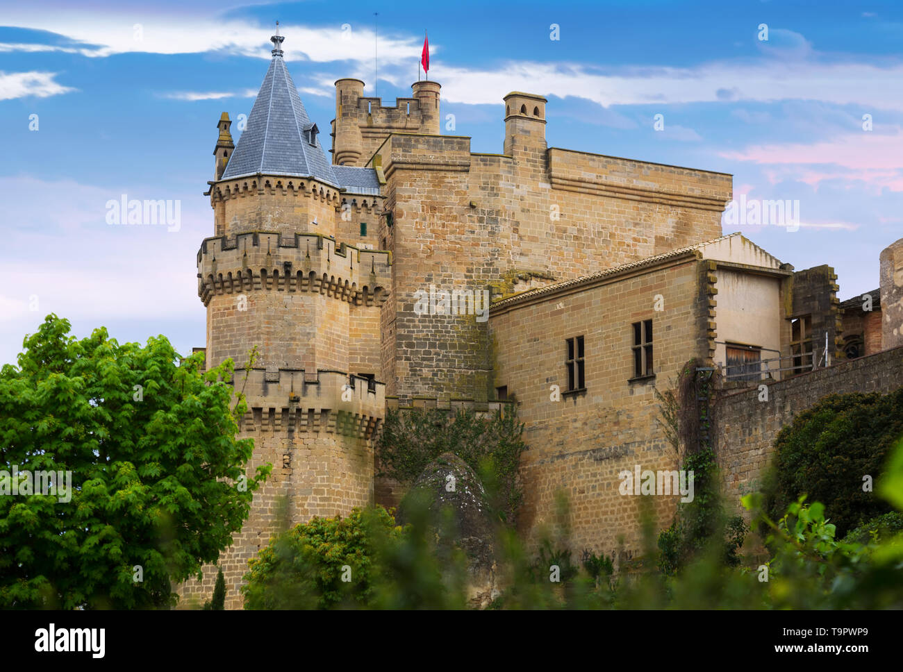 Palace of the Kings of Navarre at Olite. Spain Stock Photo - Alamy