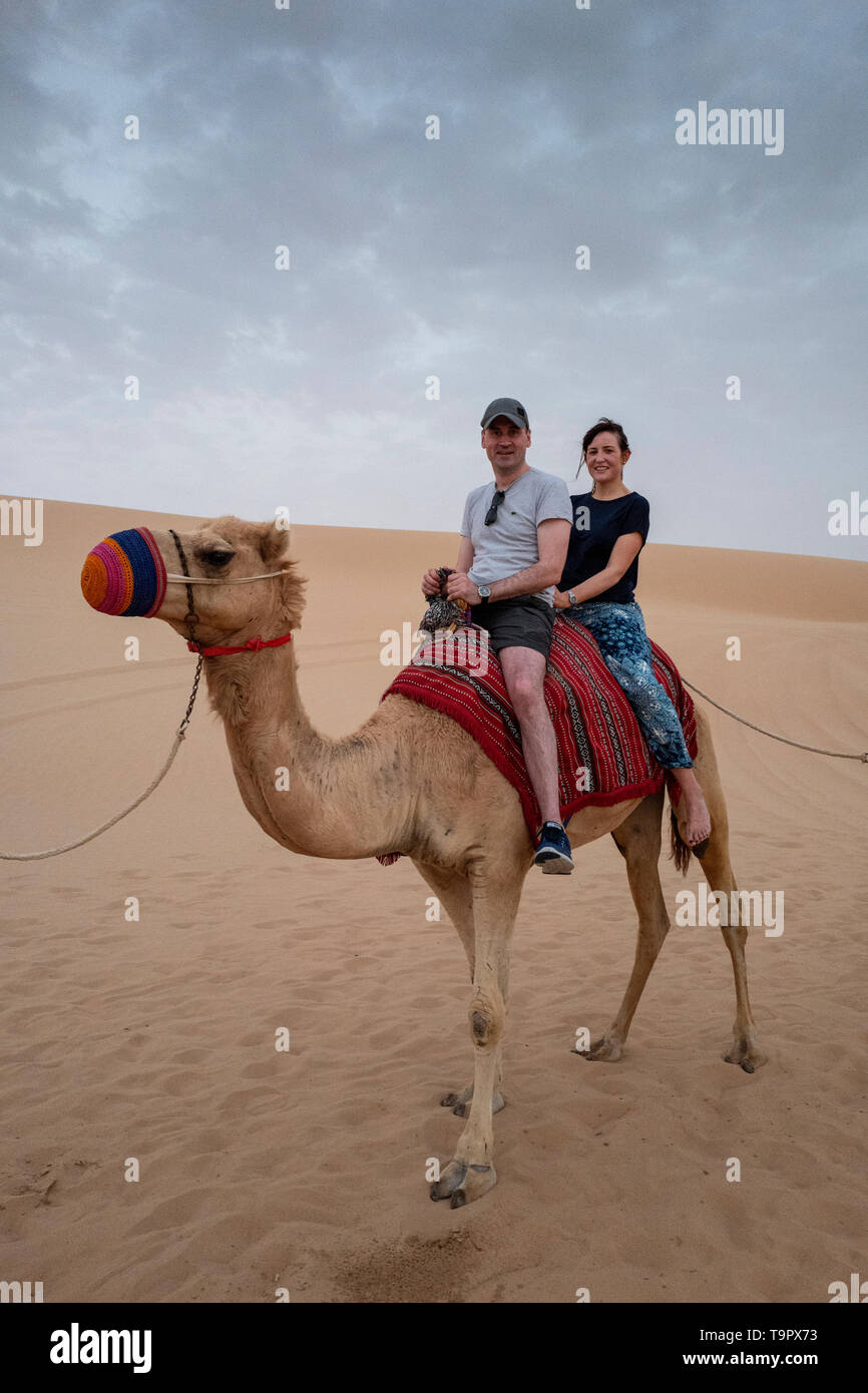 Uae desert camel hi-res stock photography and images - Alamy
