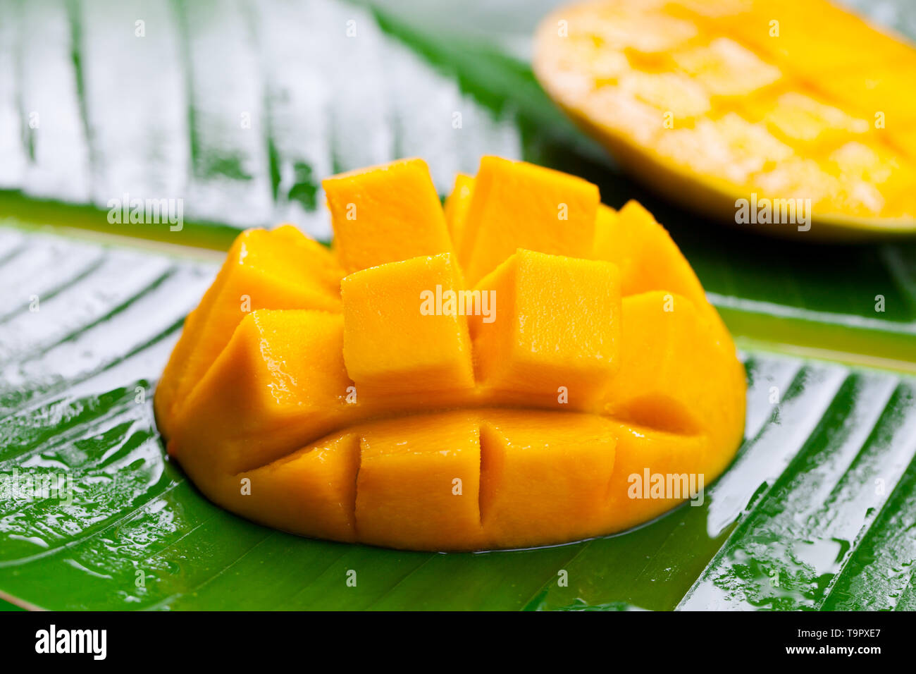 Fresh mango on green palm leaf. Close up Stock Photo - Alamy