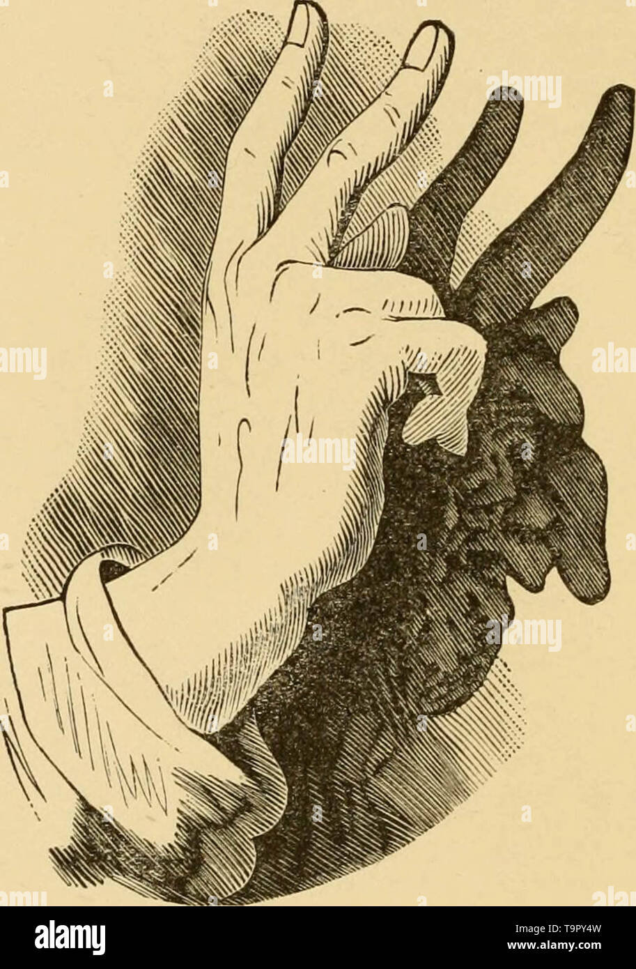 Phallic worship : an outline of the worship of the generative organs ...