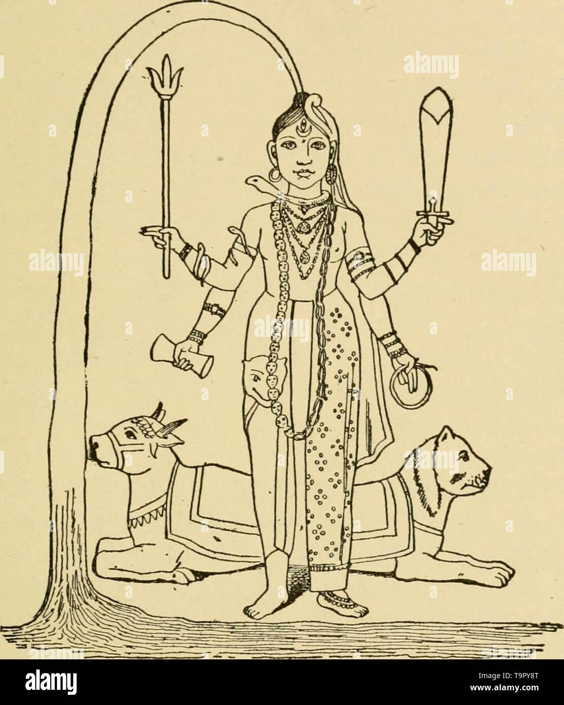 Phallic worship : an outline of the worship of the generative organs ...