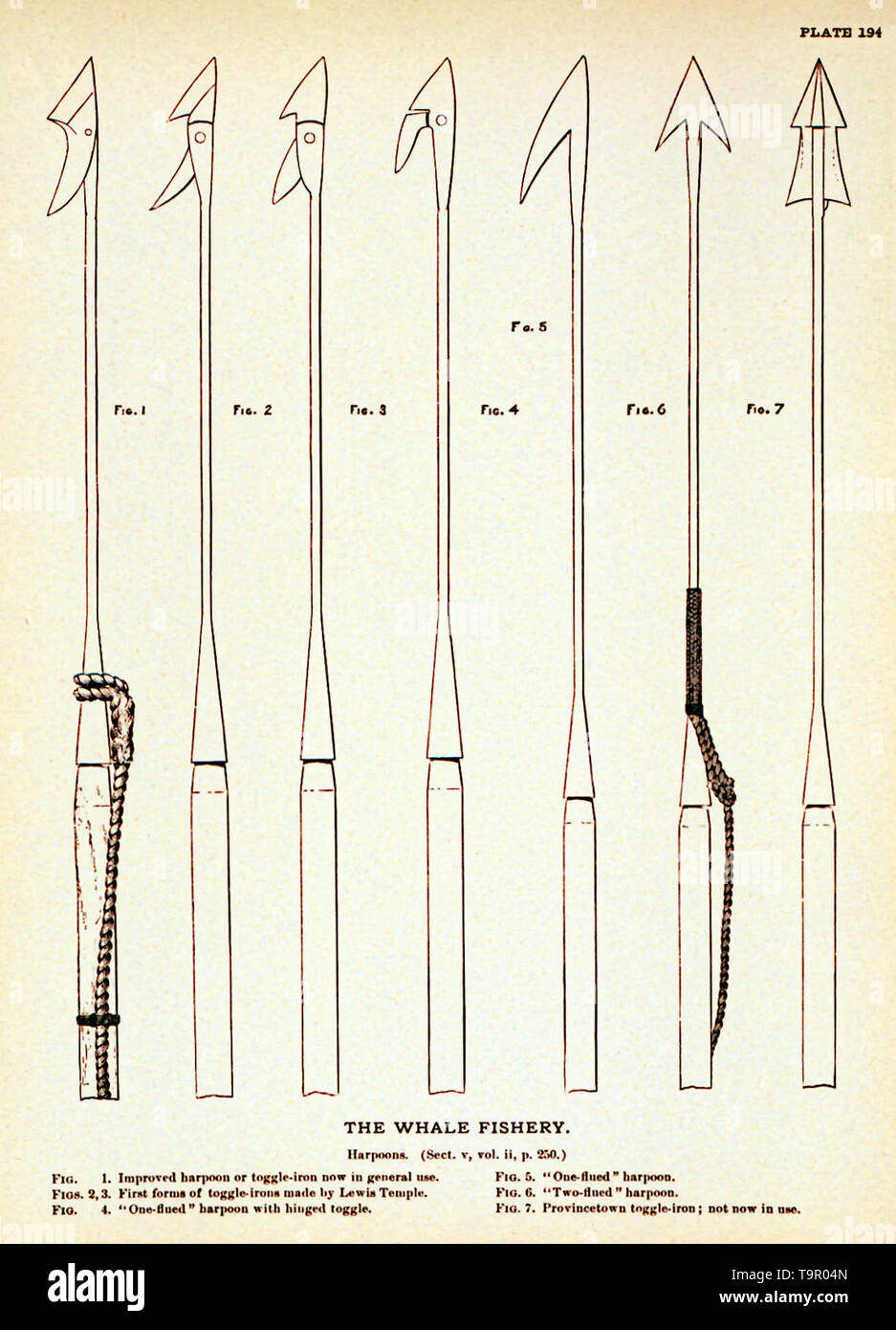 Vintage Harpoons High Resolution Stock Photography and Images - Alamy