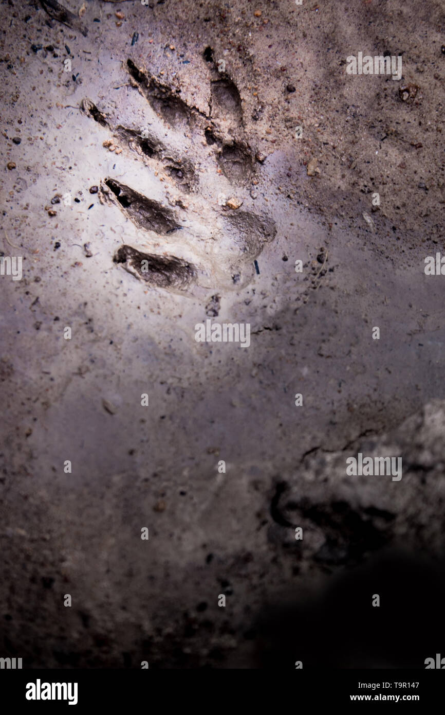 Tread finger hi-res stock photography and images - Alamy