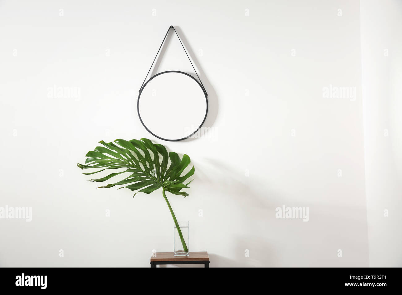 Green tropical leaf in interior of room Stock Photo - Alamy