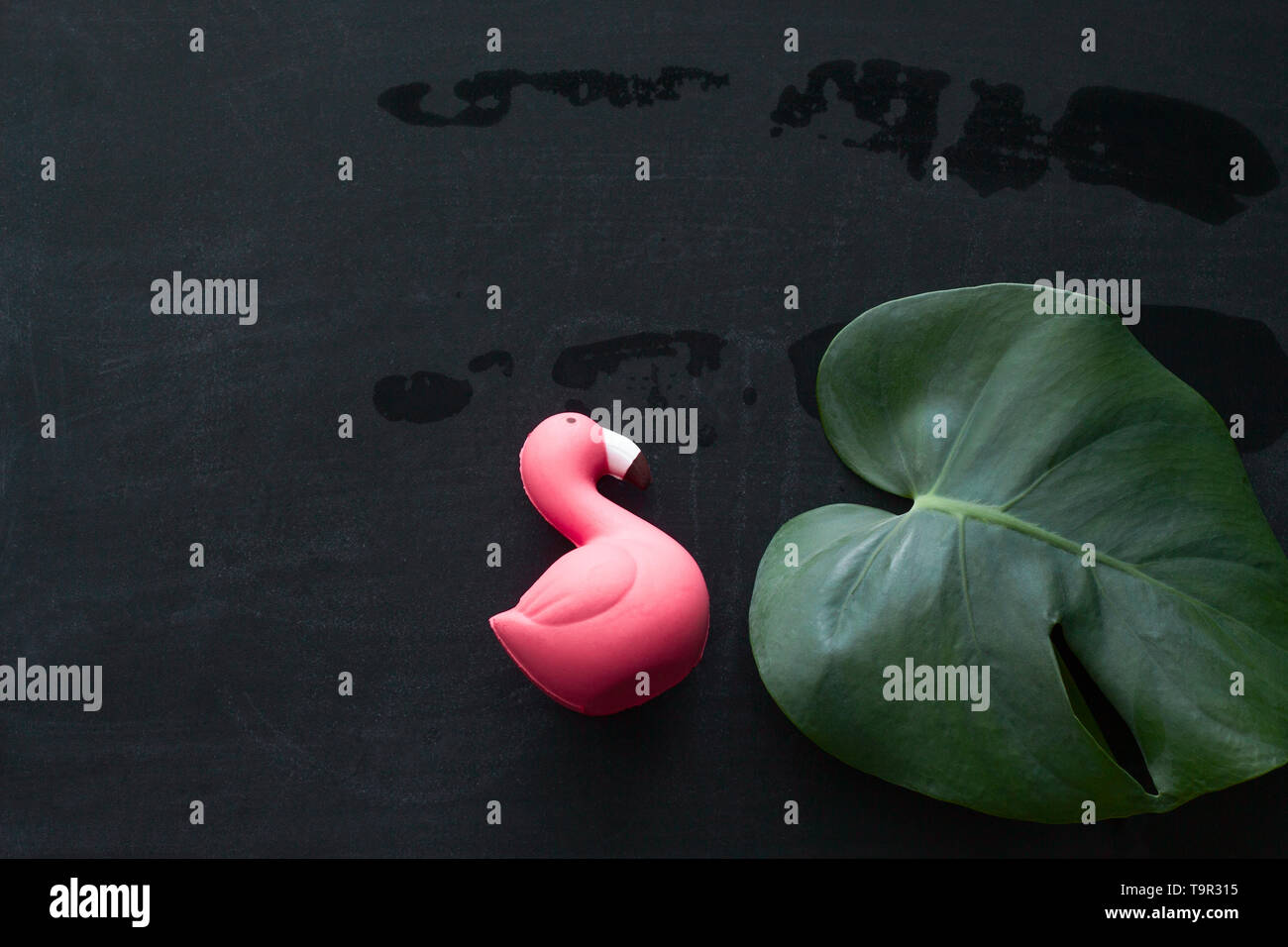top view monstera green leaf and flamingo squishy toy on blackboard ...