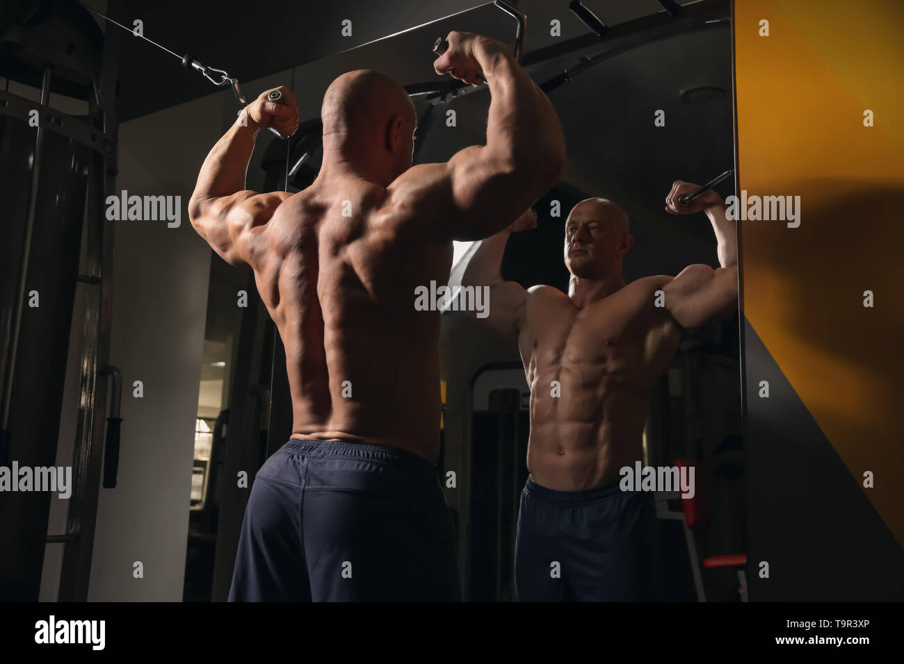 Muscular man training in gym Stock Photo - Alamy