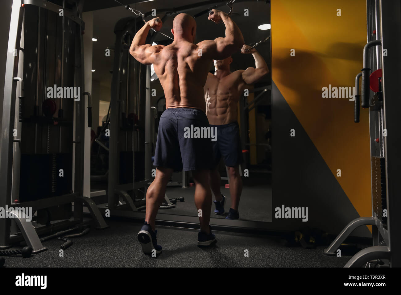 Muscular man training in gym Stock Photo - Alamy