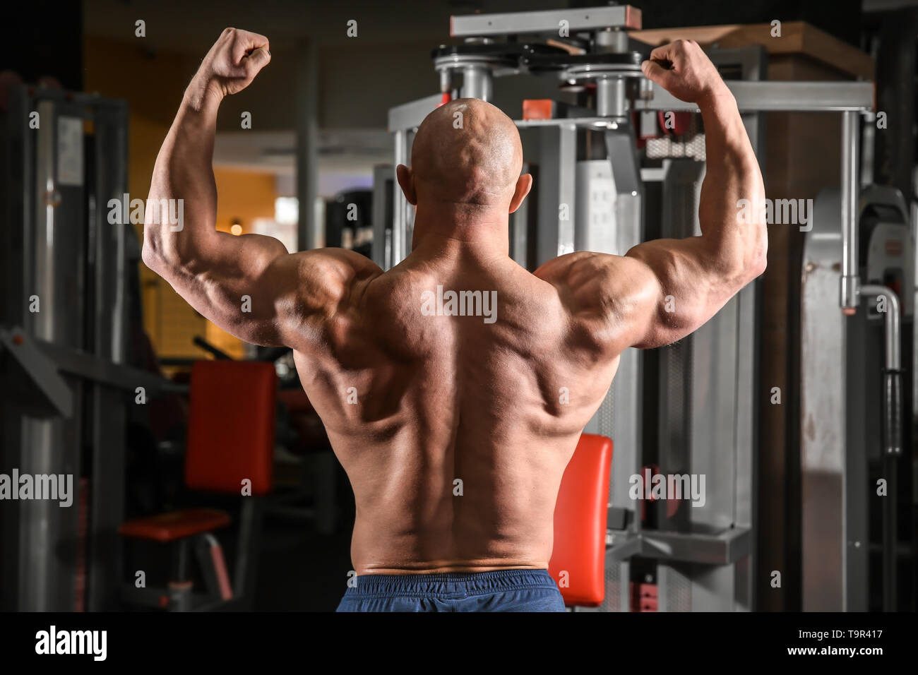 Muscular man posing in gym Stock Photo - Alamy