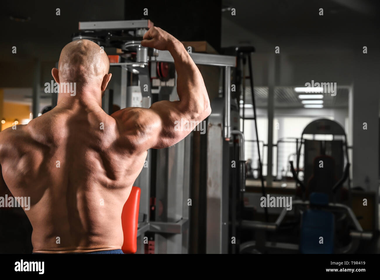 Man muscular back posing in hi-res stock photography and images - Alamy