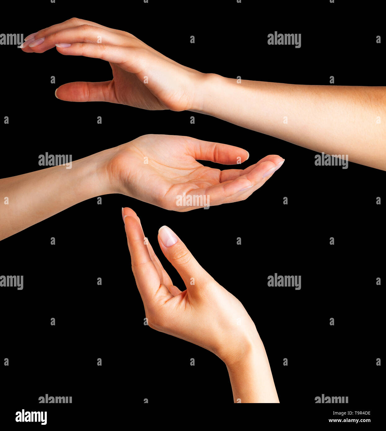 Placing something hi-res stock photography and images - Alamy
