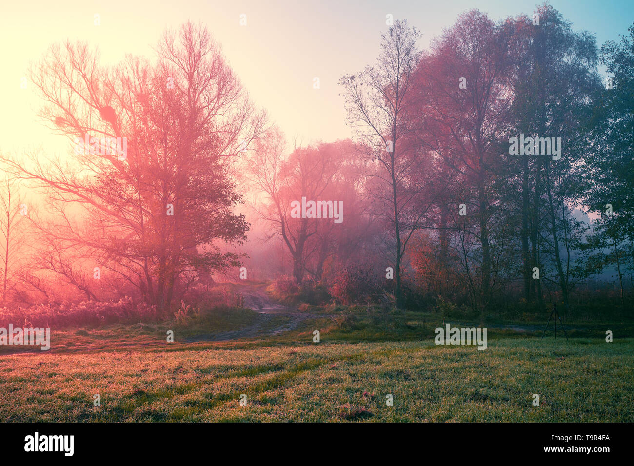 Rural landscape in the early morning. Sunrise in the countryside Stock ...