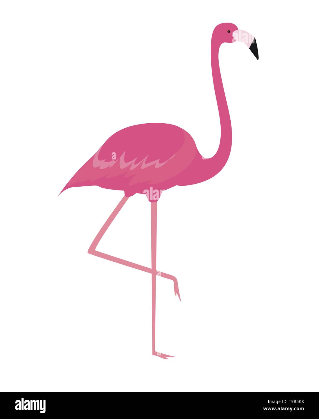 Colorful cartoon pink flamingo on one leg stands on white background ...