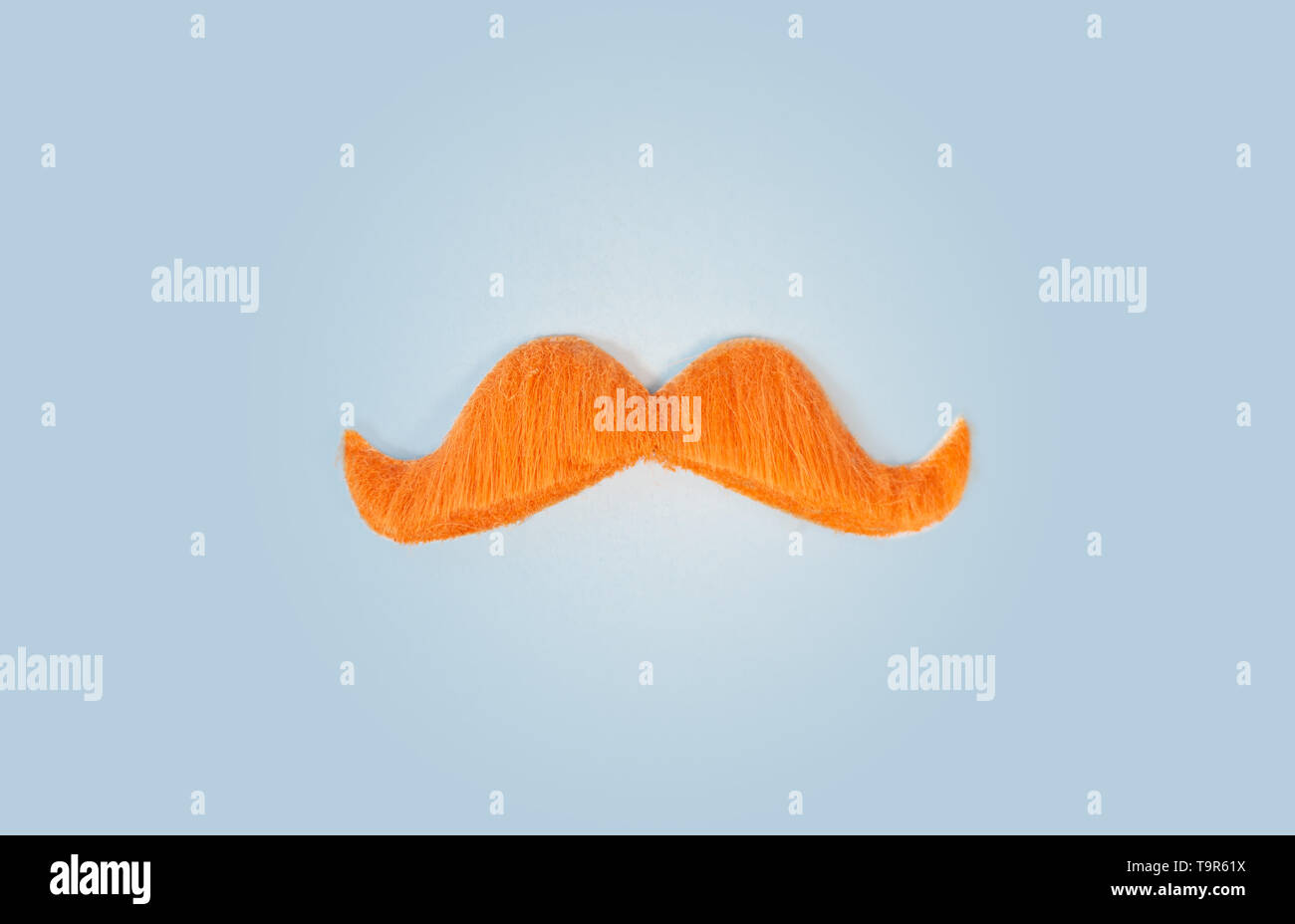 top view ginger orange color mustaches Stock Photo - Alamy