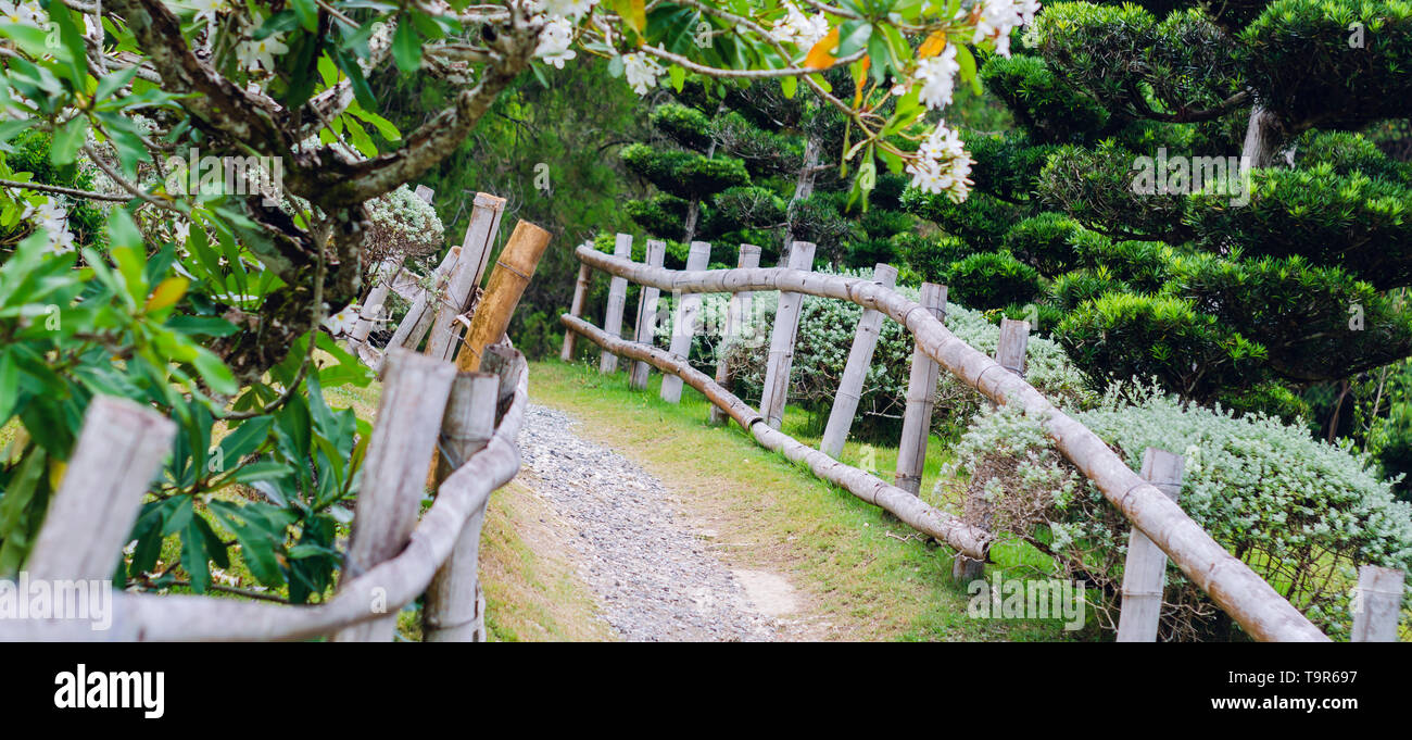 rural road in Japanese garden with beautiful trees of green tones and ...