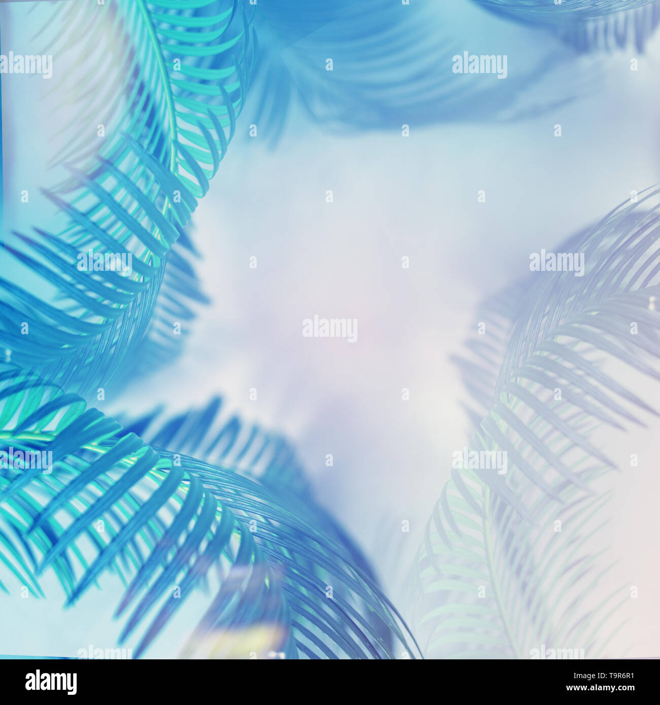 trendy design, nature and background concept blue duotone palm tree ...