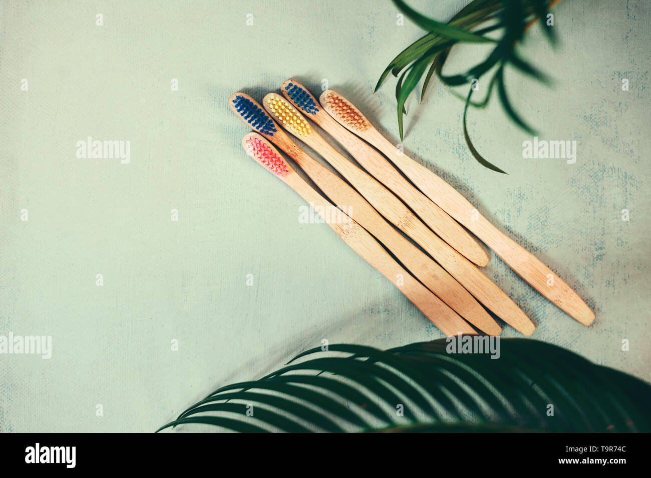 4 bamboo toothbrushes over green background and green palm leaf Stock ...