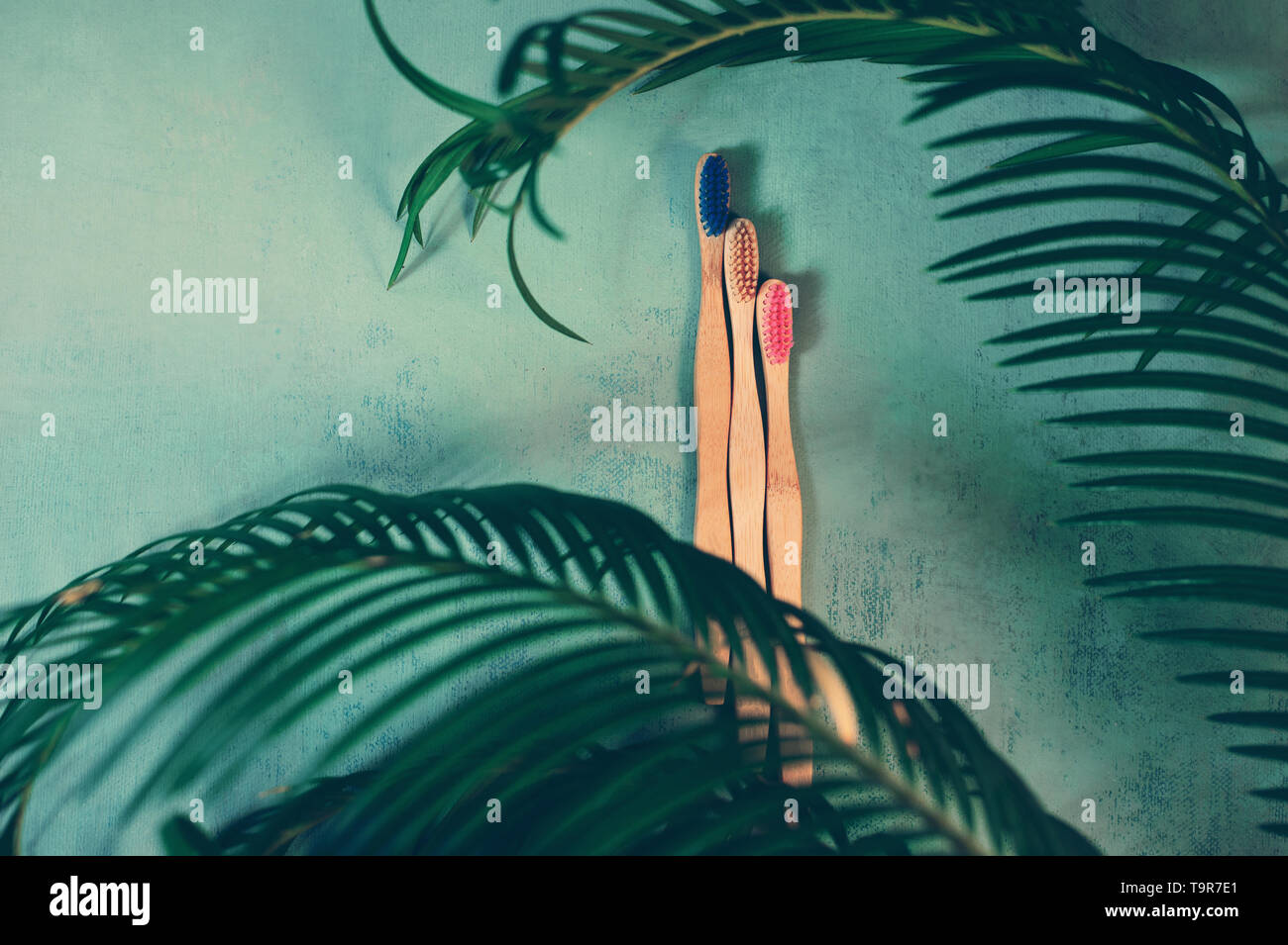 4 bamboo toothbrushes over green background and green palm leaf Stock ...