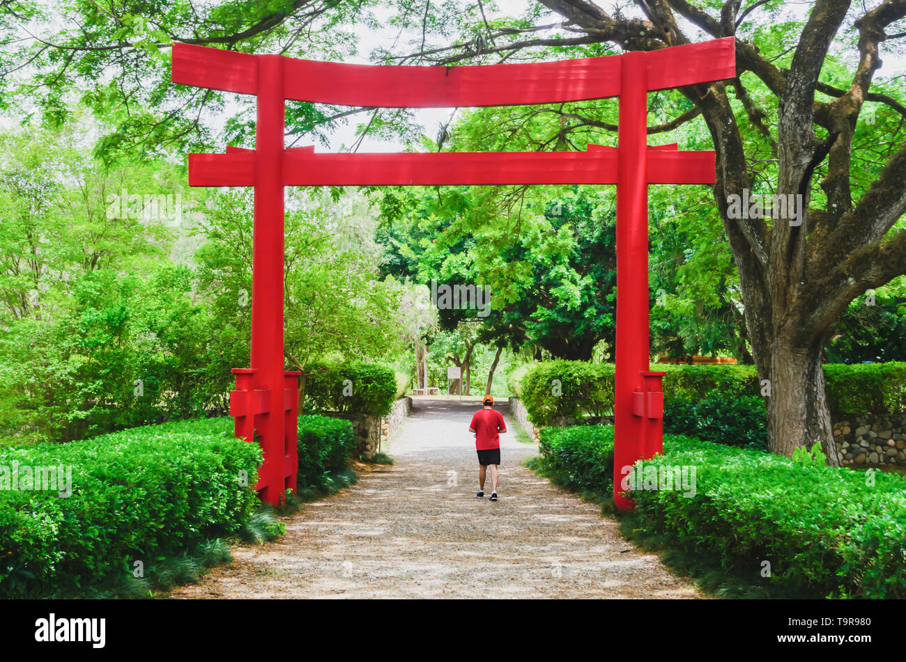Shinto torii gate garden hi-res stock photography and images - Alamy