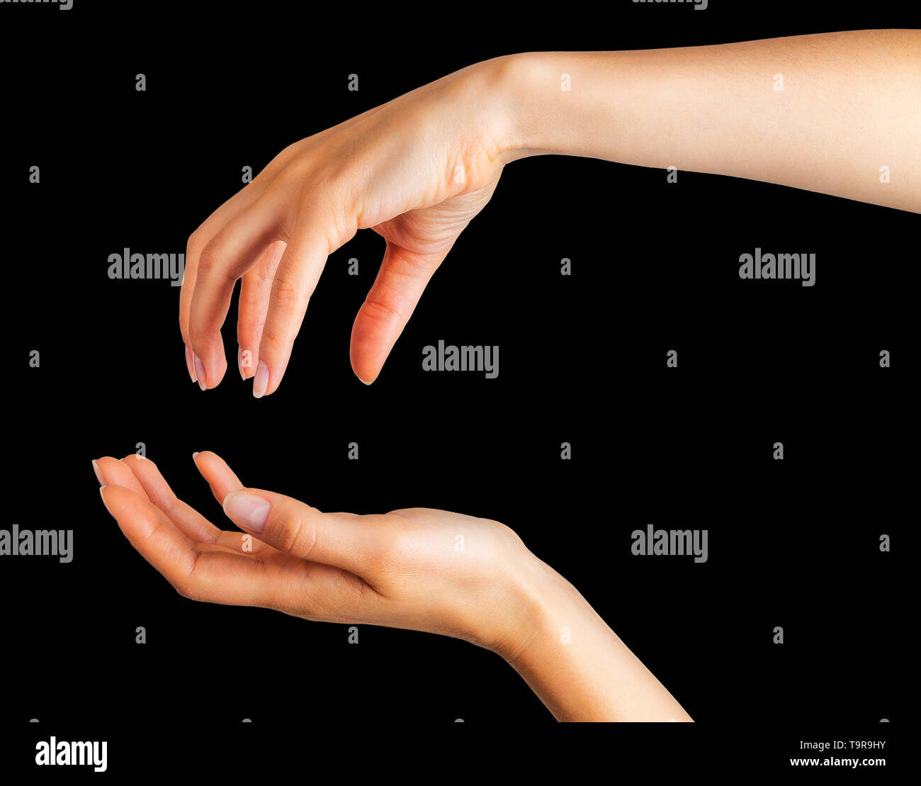 Set of women hands taking or showing something Stock Photo - Alamy