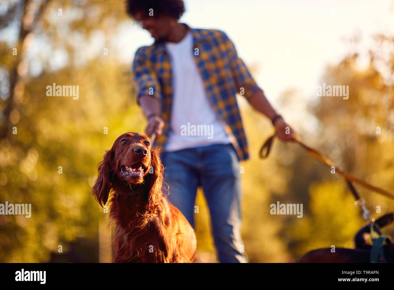 Professional walk hi-res stock photography and images - Alamy