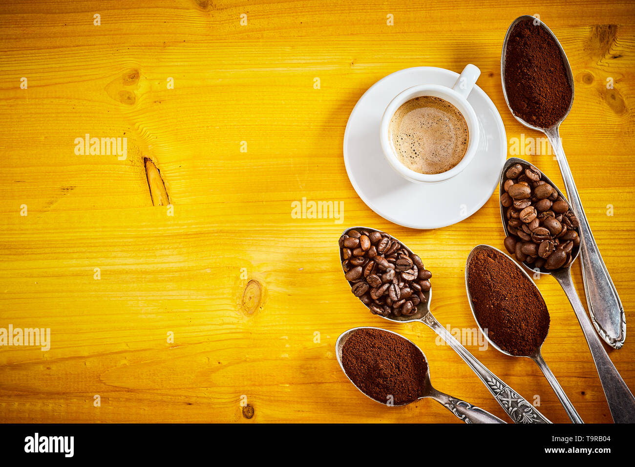 Assorted coffee beans and grounds display in spoons from the bottom ...