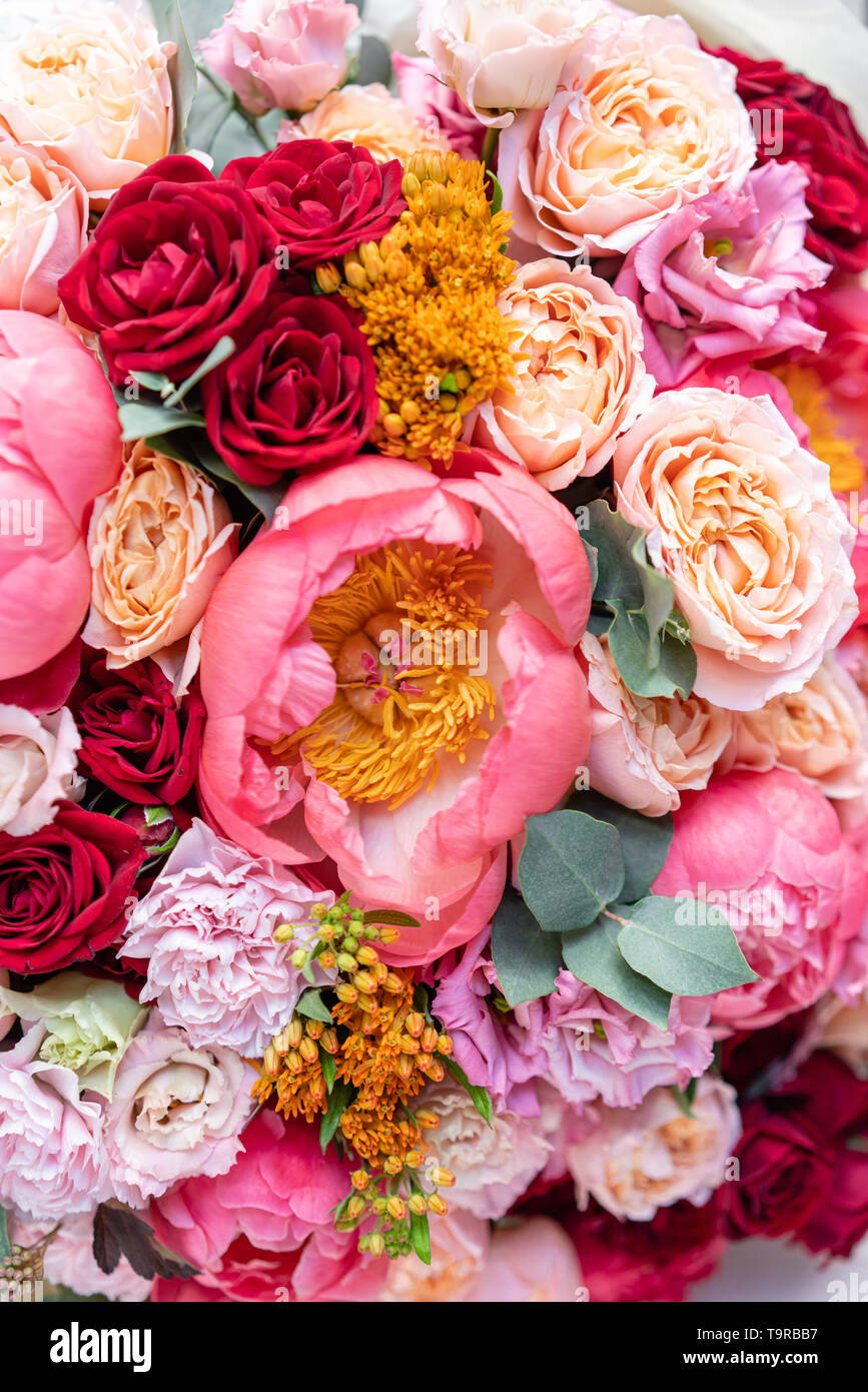 Beautiful Bokeh Of Flowers