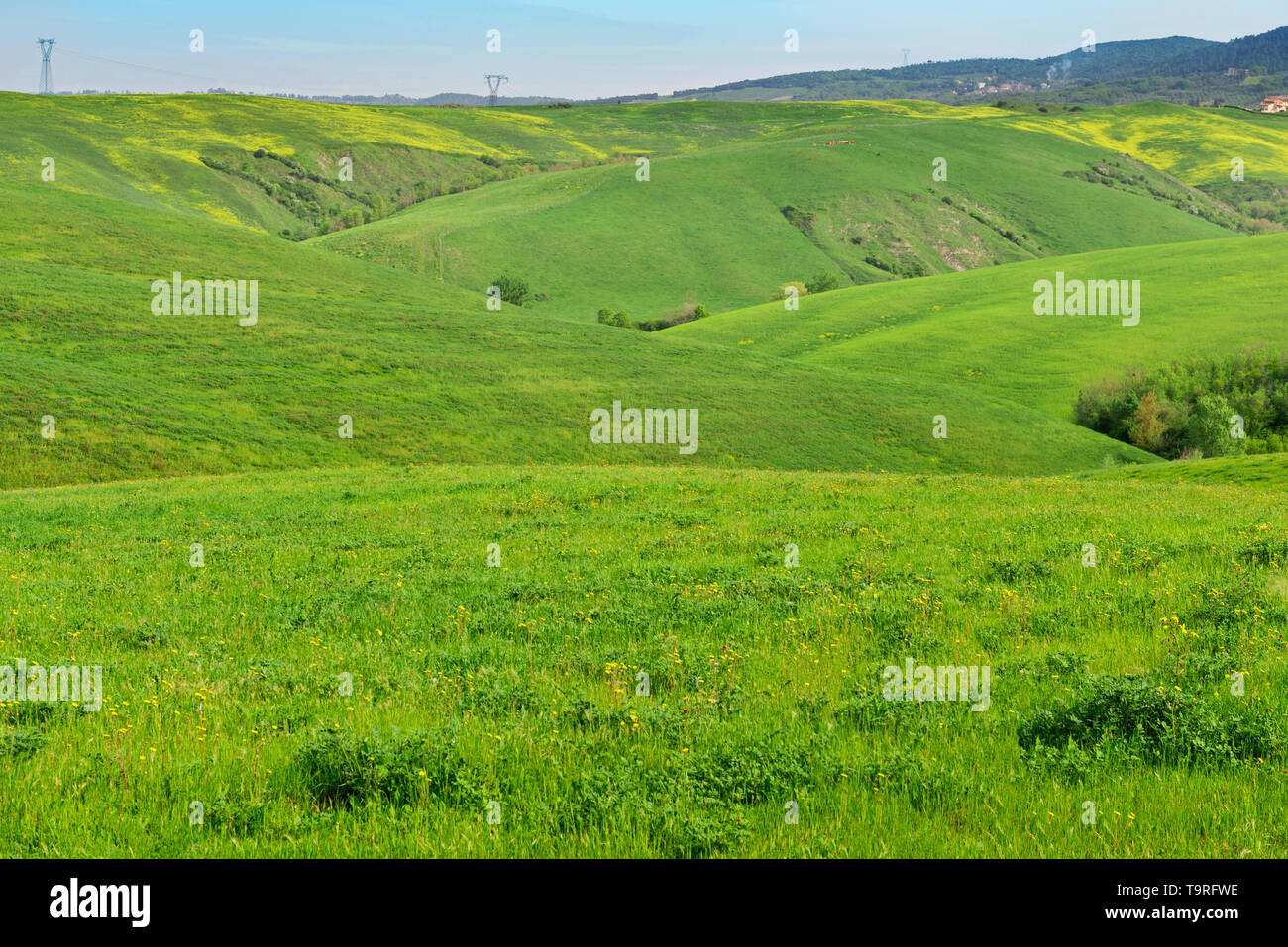 Beautiful spring landscape with hills in Tuscany Stock Photo - Alamy