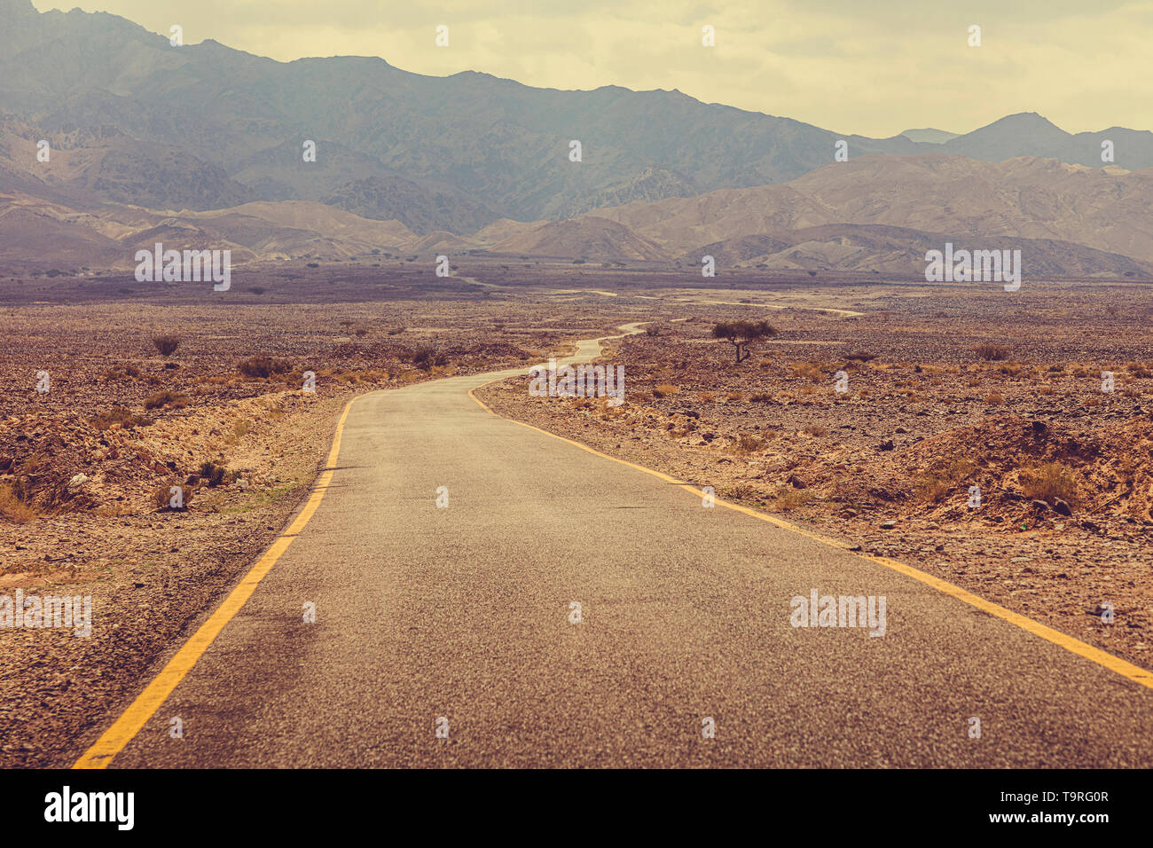 Desert Road Background