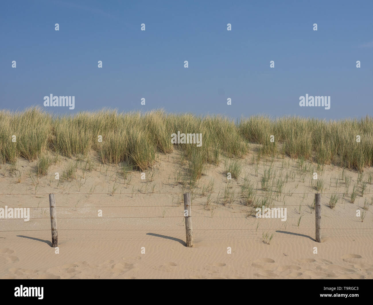 the beach of katwijk an zee in holland Stock Photo - Alamy