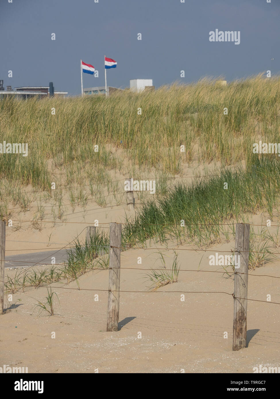 the beach of katwijk an zee in holland Stock Photo - Alamy