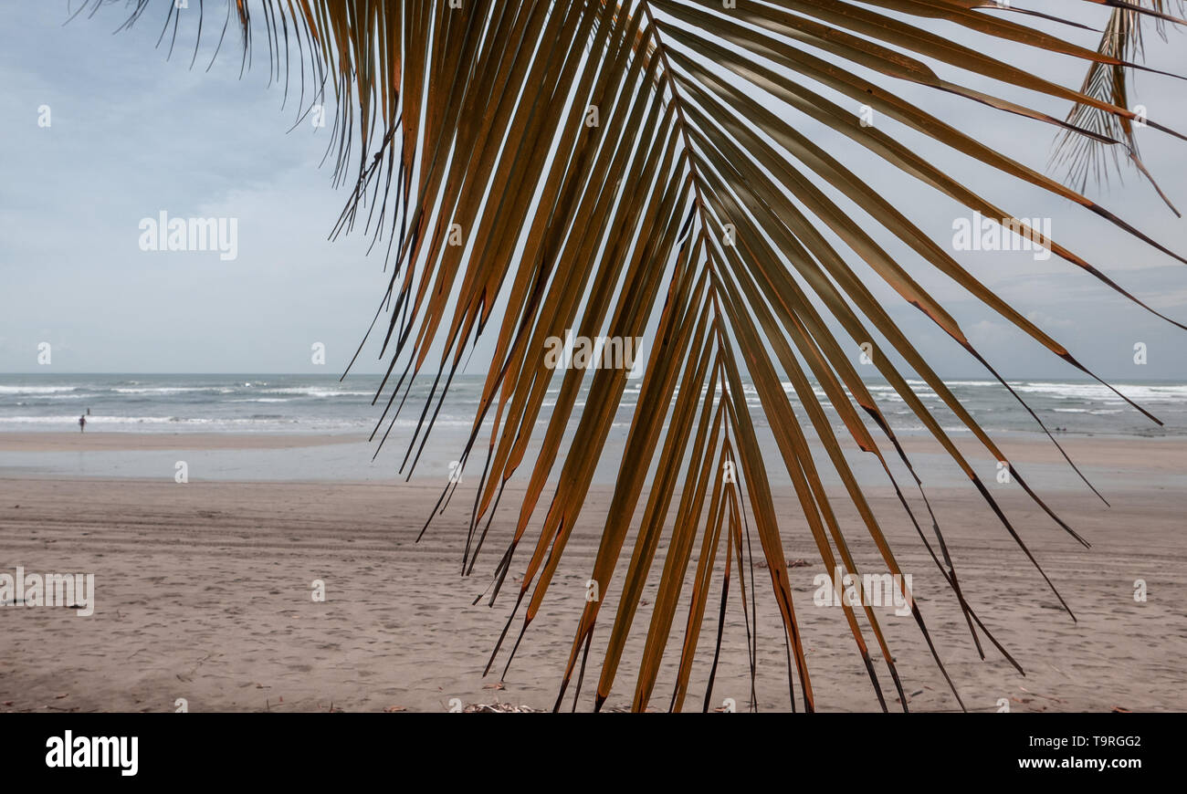 Costa rican bbeach hi-res stock photography and images - Alamy