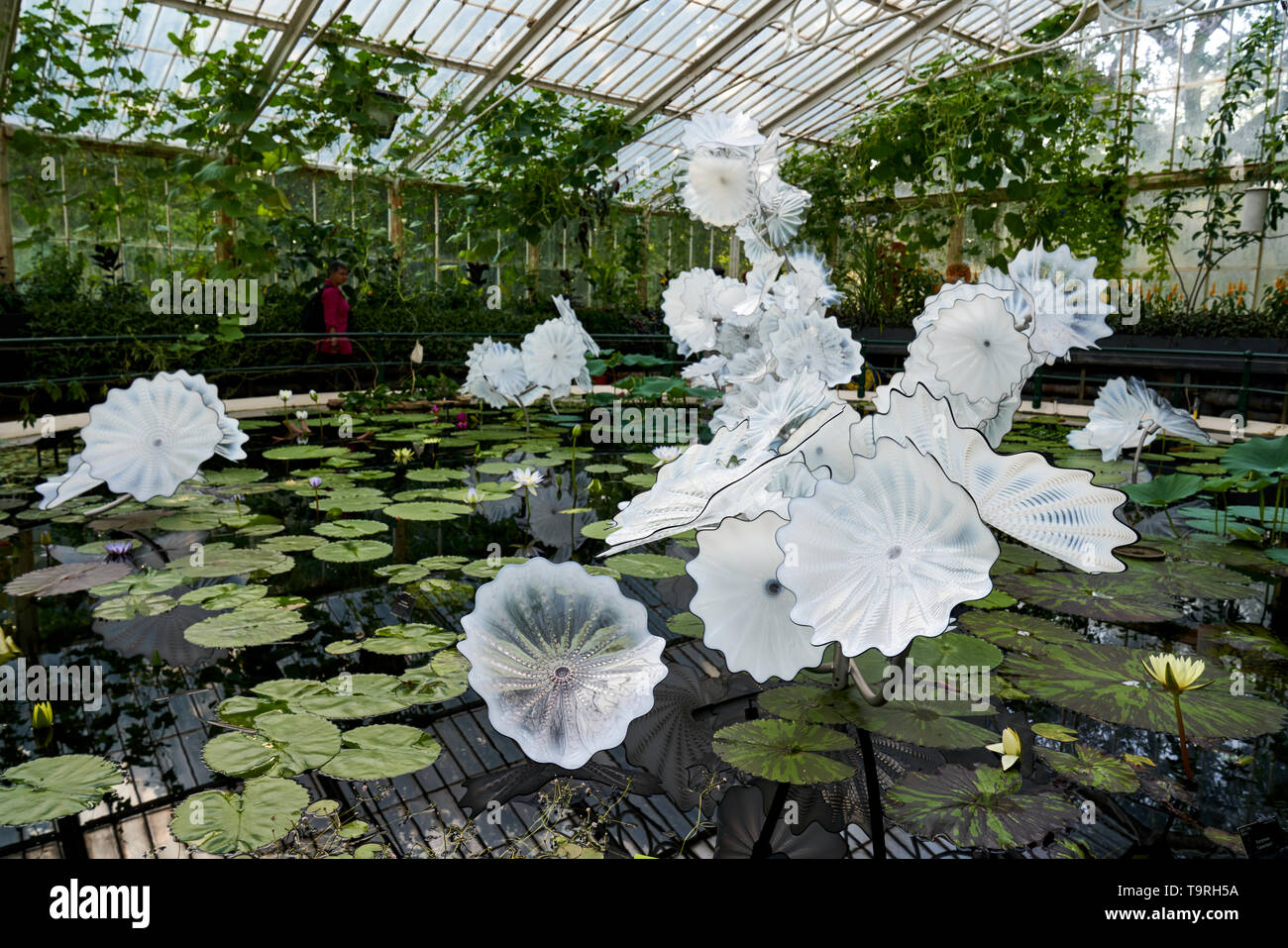 Ethereal white persian pond hi-res stock photography and images - Alamy
