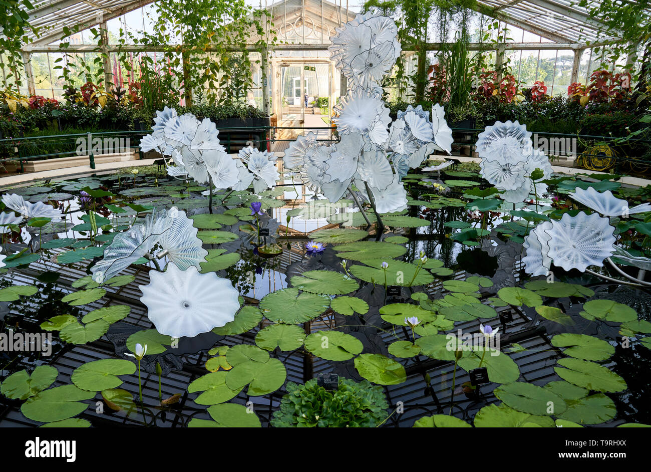 Ethereal white persian pond forms part of the contemporary glass artist Dale Chihuly's newest ...