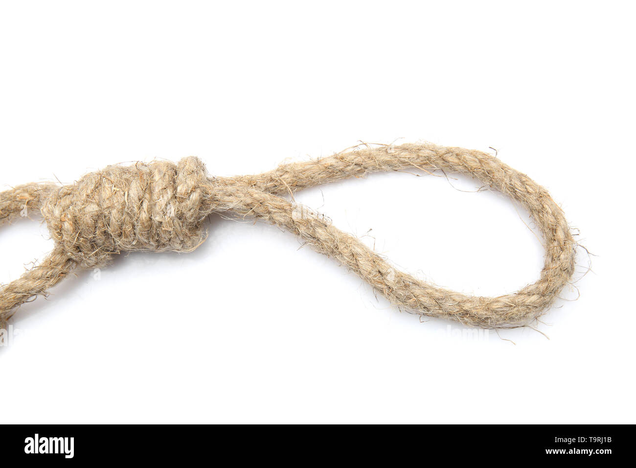 Rope with loop on white background Stock Photo - Alamy