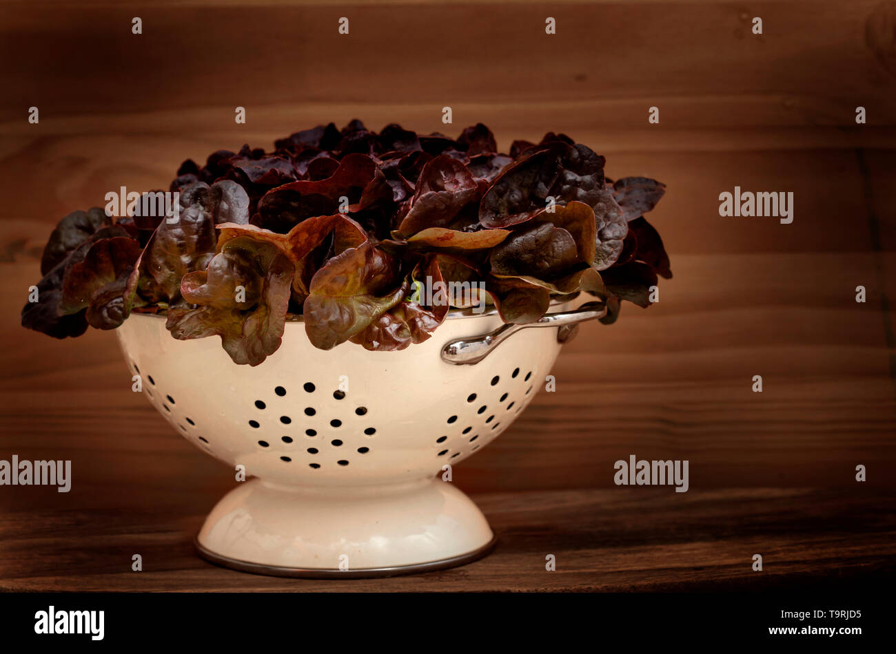 red leaf lettuce in a colander on wood board background Stock Photo - Alamy