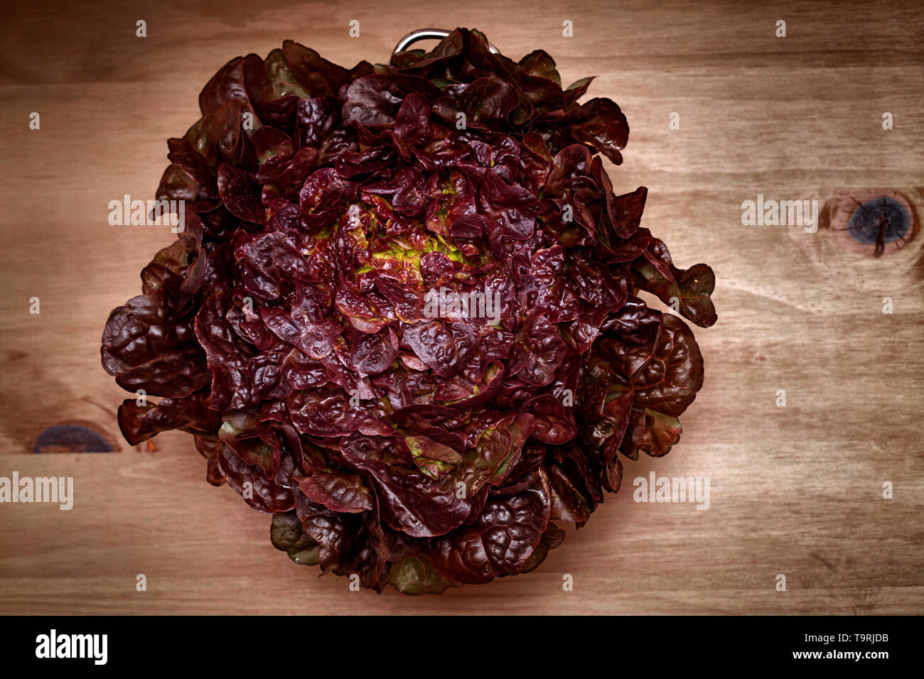 red leaf lettuce in a colander on wood board background Stock Photo - Alamy