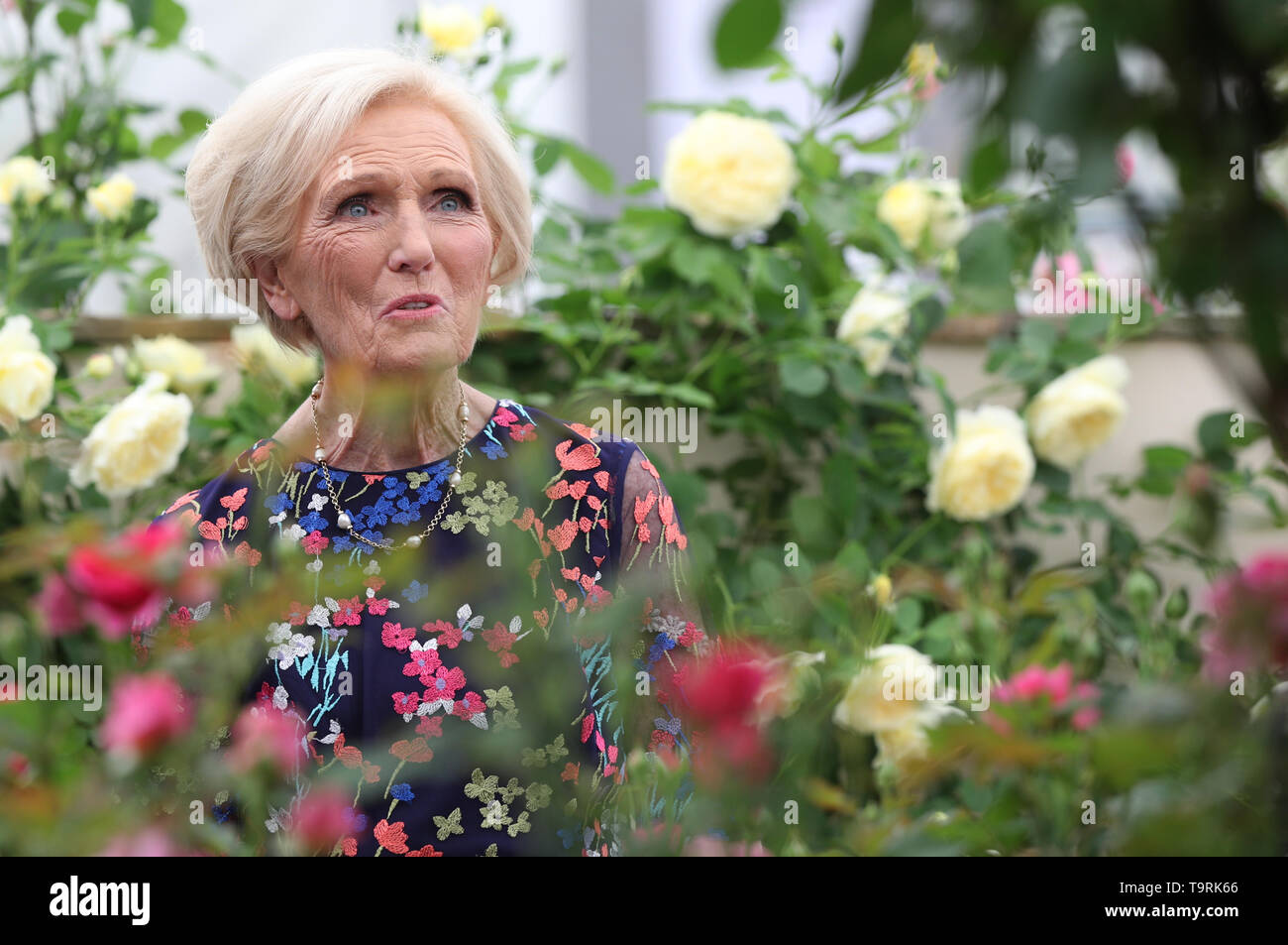 Mary berry rhs chelsea flower show royal hospital chelsea hi-res stock ...