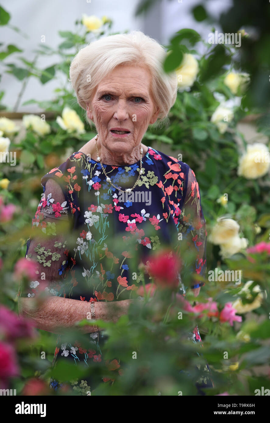 Mary berry rhs chelsea flower show royal hospital chelsea hi-res stock ...