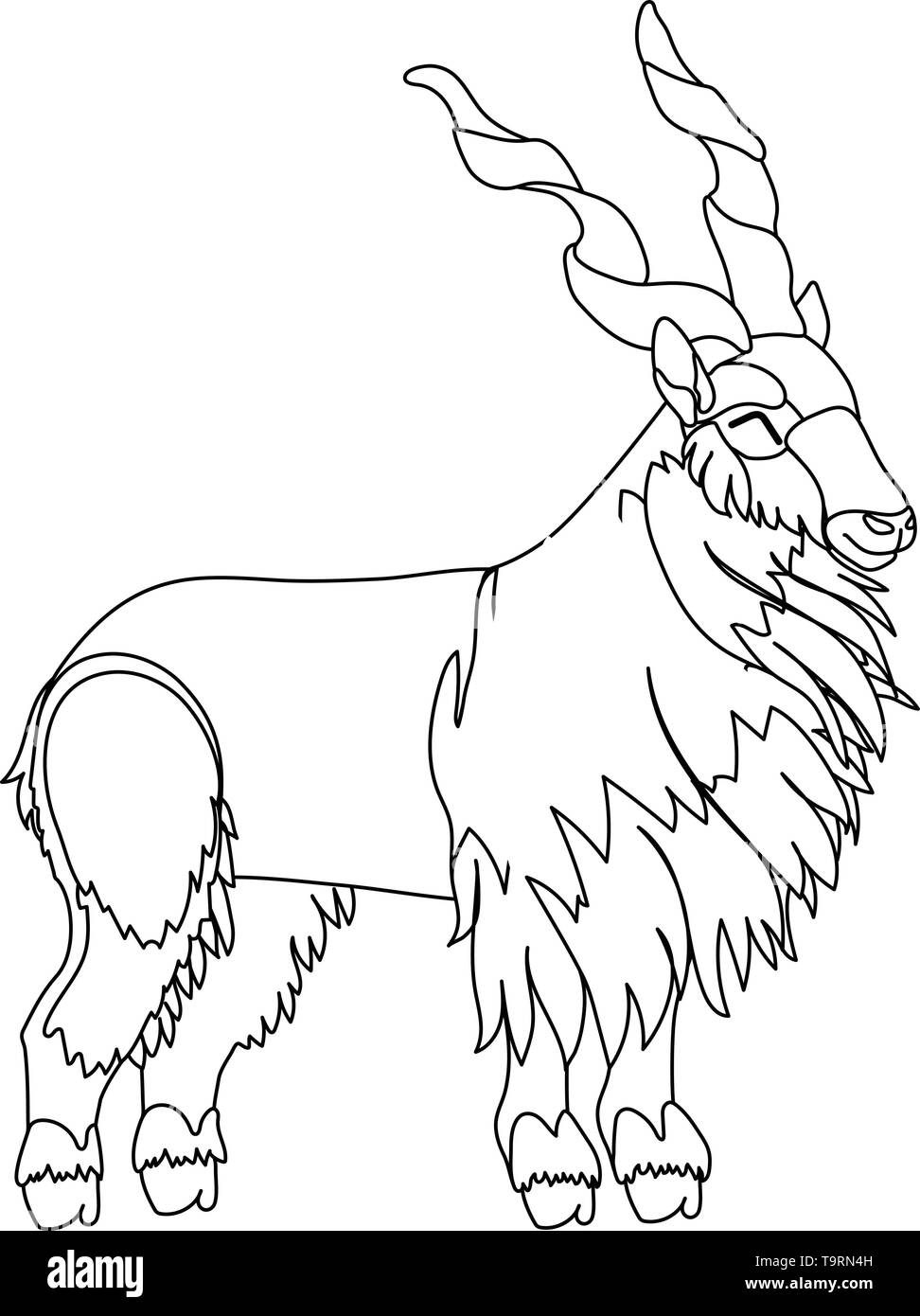 Markhor drawing Stock Vector Images - Alamy