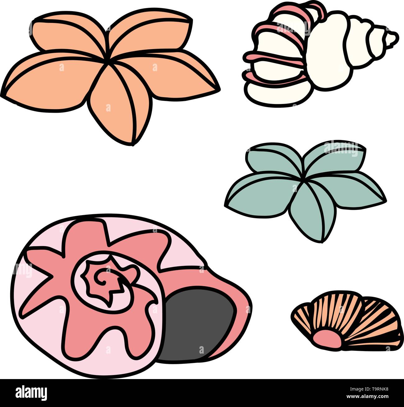 Starfish clipart hi-res stock photography and images - Alamy