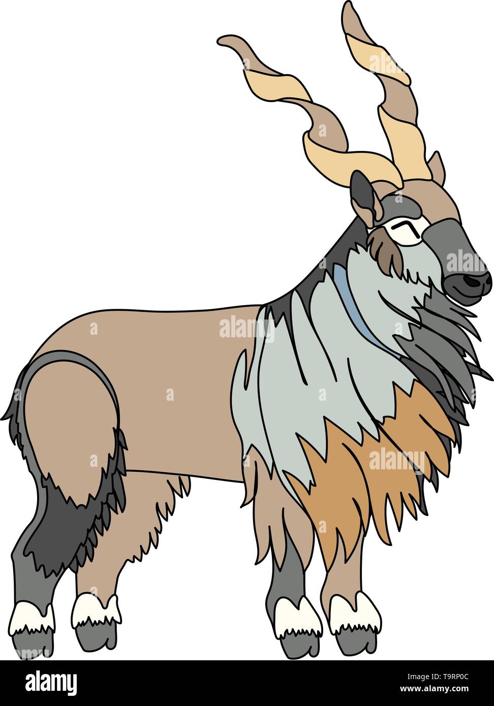 Turkomen markhor Stock Vector Images - Alamy