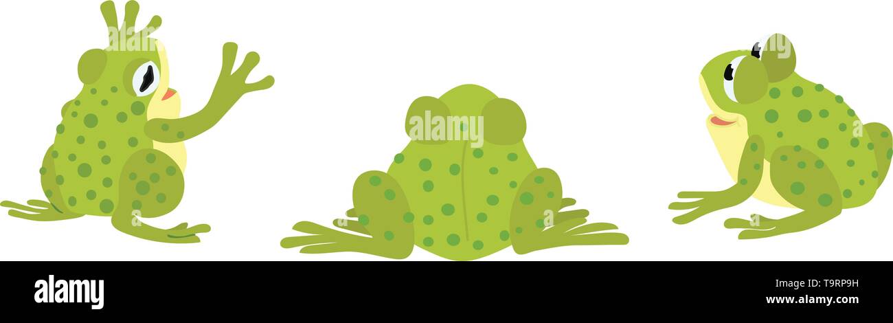vector flat cartoon animal clip art green frog, toads Stock Vector ...