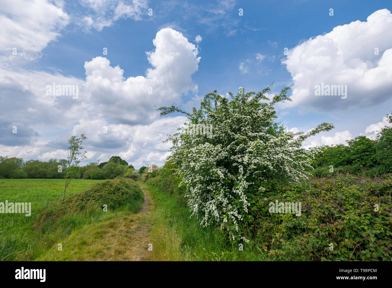 Test way hi-res stock photography and images - Alamy