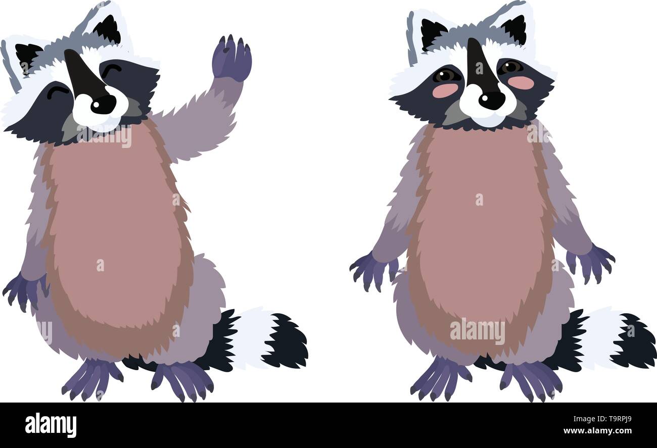 vector flat cartoon animal clip art cute raccoons Stock Vector Image ...