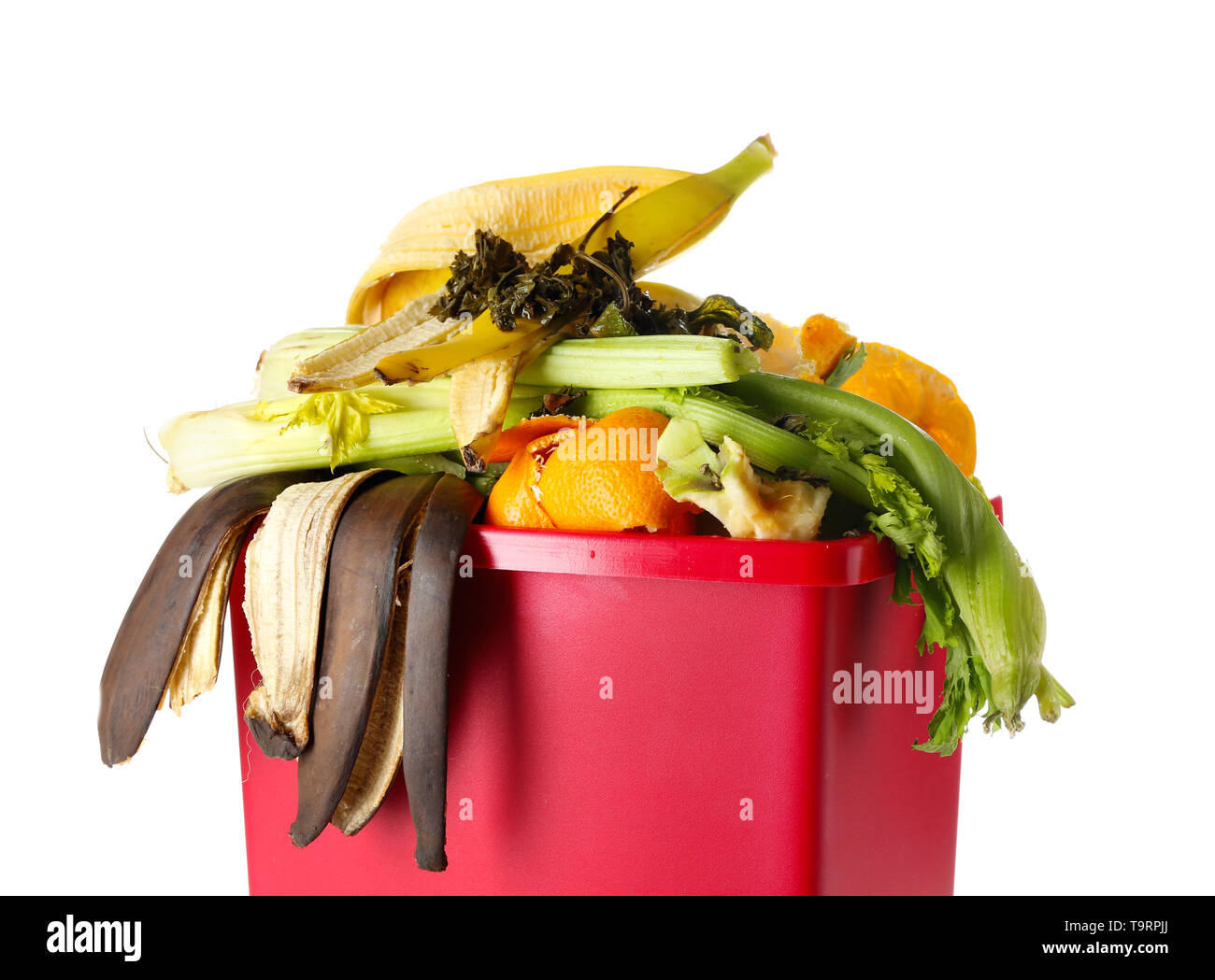 Trash bin with organic wastes on white background. Recycling concept ...